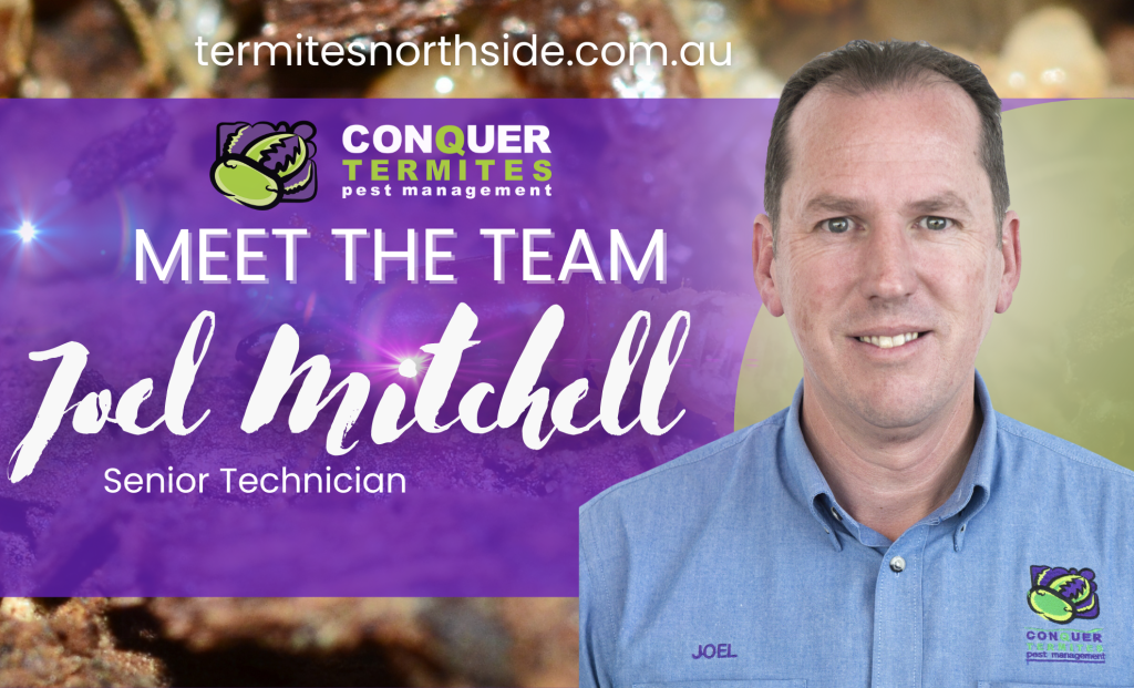 Meet Joel Mitchell | Brisbane Pest Control Expert