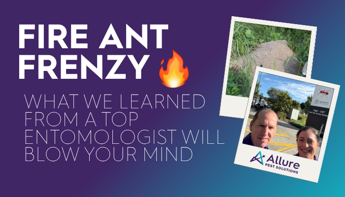 Fire Ant Frenzy: What We Learned from a Top Entomologist Will Blow Your ...