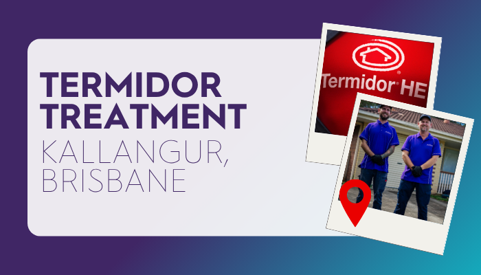 Another Termidor Treatment for a Loyal Kallangur Customer - Allure Pest ...