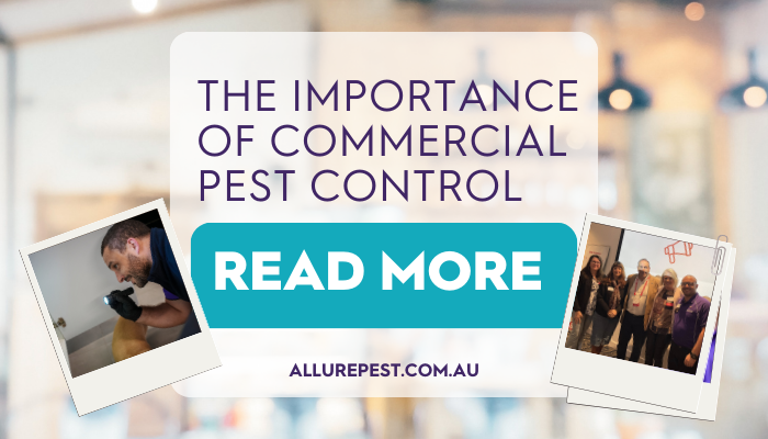 Commercial Pest Control Brisbane | Importance | Protect Your Business