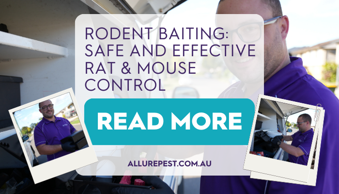 Baiting | Rodent Control | Rats Mice | Safe Effective | Allure