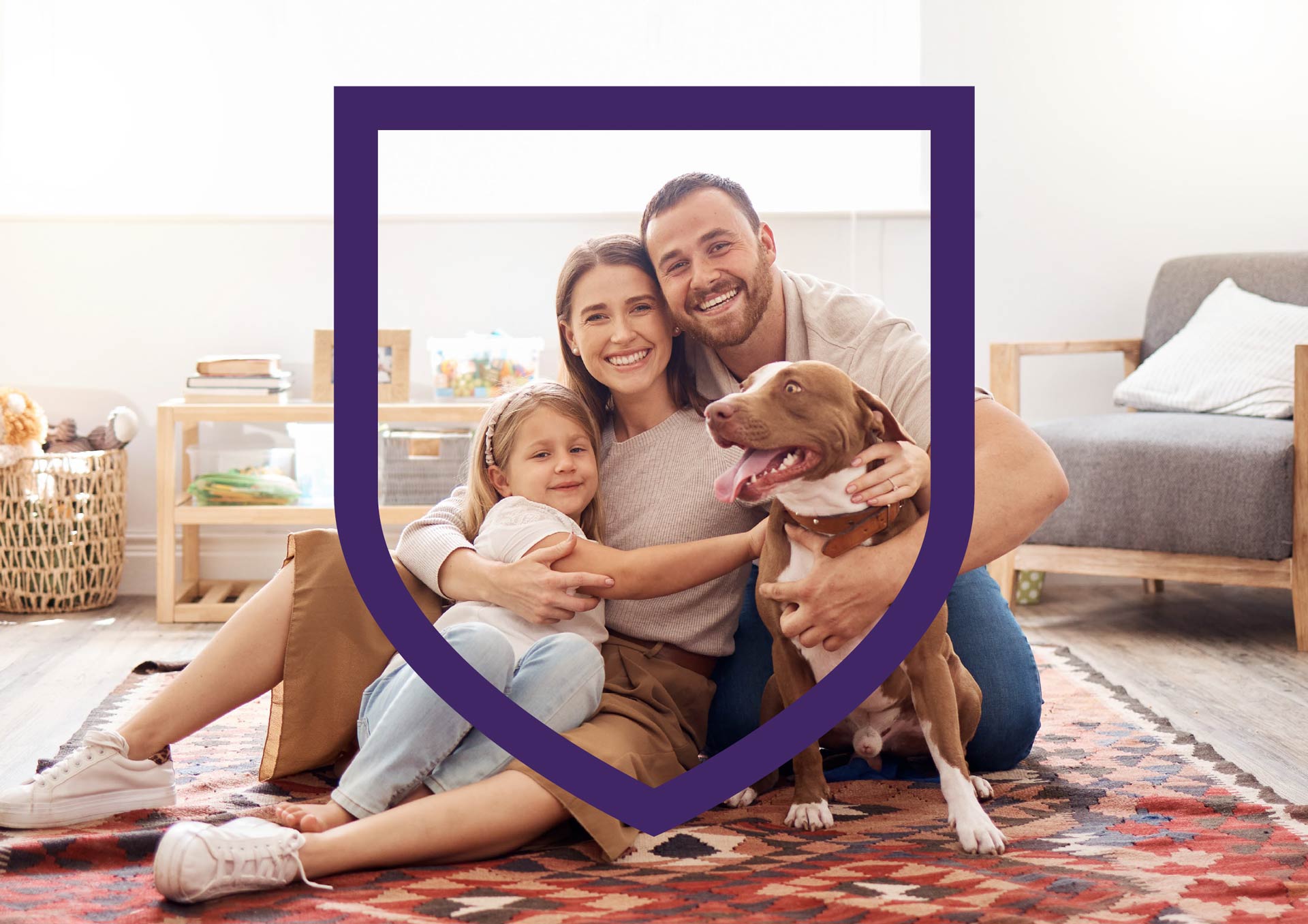 Pest Control Sunnybank Hills | Termite Inspections | Allure